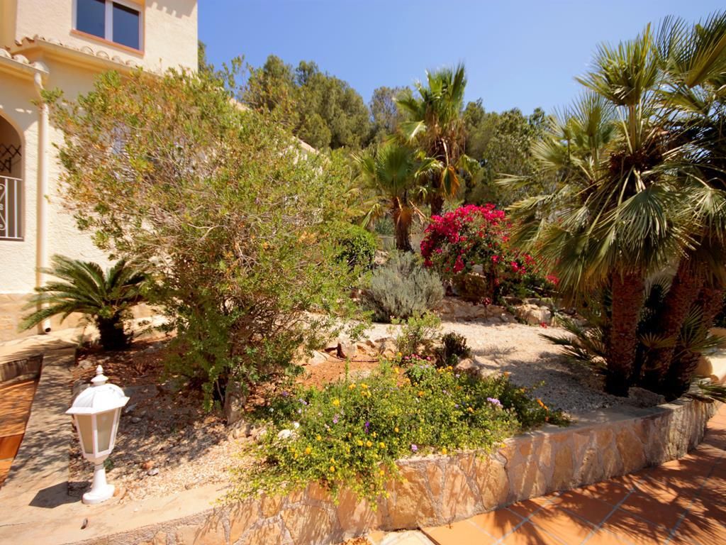 D-2018-15 | ALENSOL-JAVEA